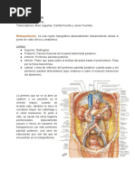 Patología Retroperitoneal: Revisión y Anatomía | PDF | Sarcoma | Cáncer