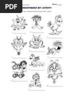 ACTIVITY Protist Dichotomous Key Activity | PDF | Biology | Cell Anatomy