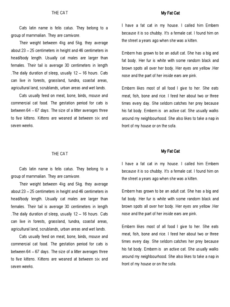 The Cat | PDF | Cats | Kitten