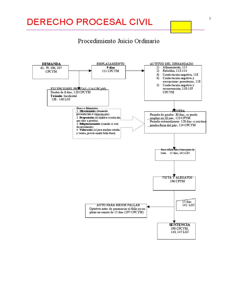 Esquema Juicio Ordinario | PDF