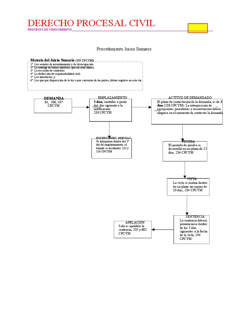 Esquema Juicio Sumario | PDF