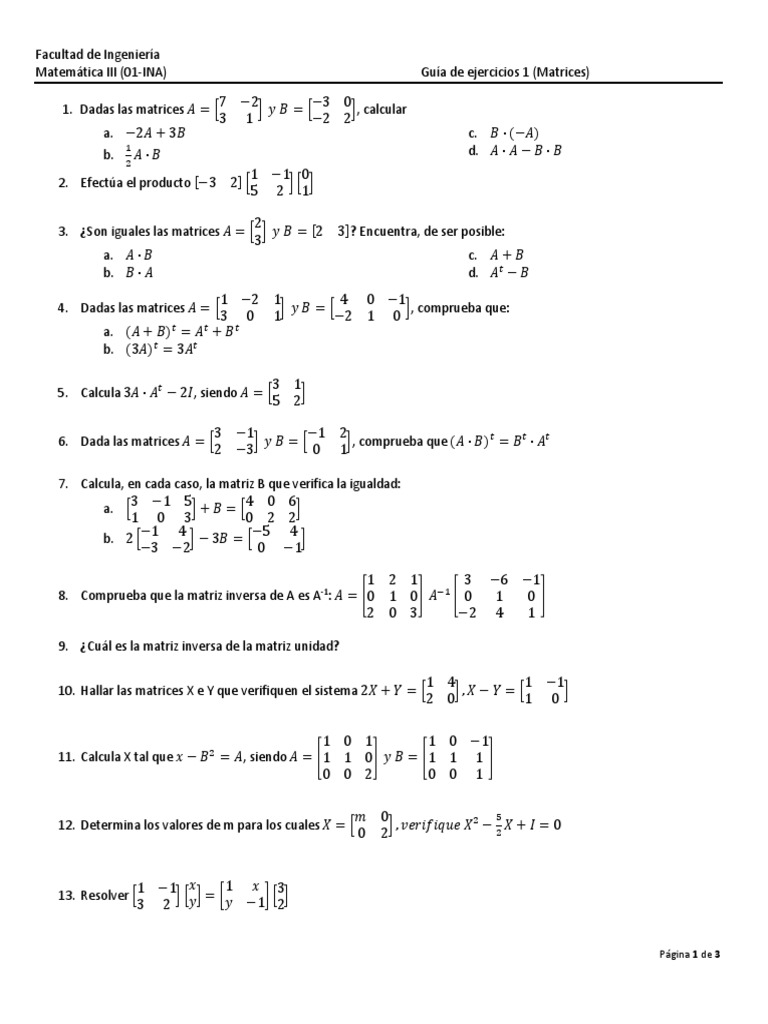 Guia de Ejercicios 1 Matrices | PDF | Matriz (Matemáticas) | Matemáticas
