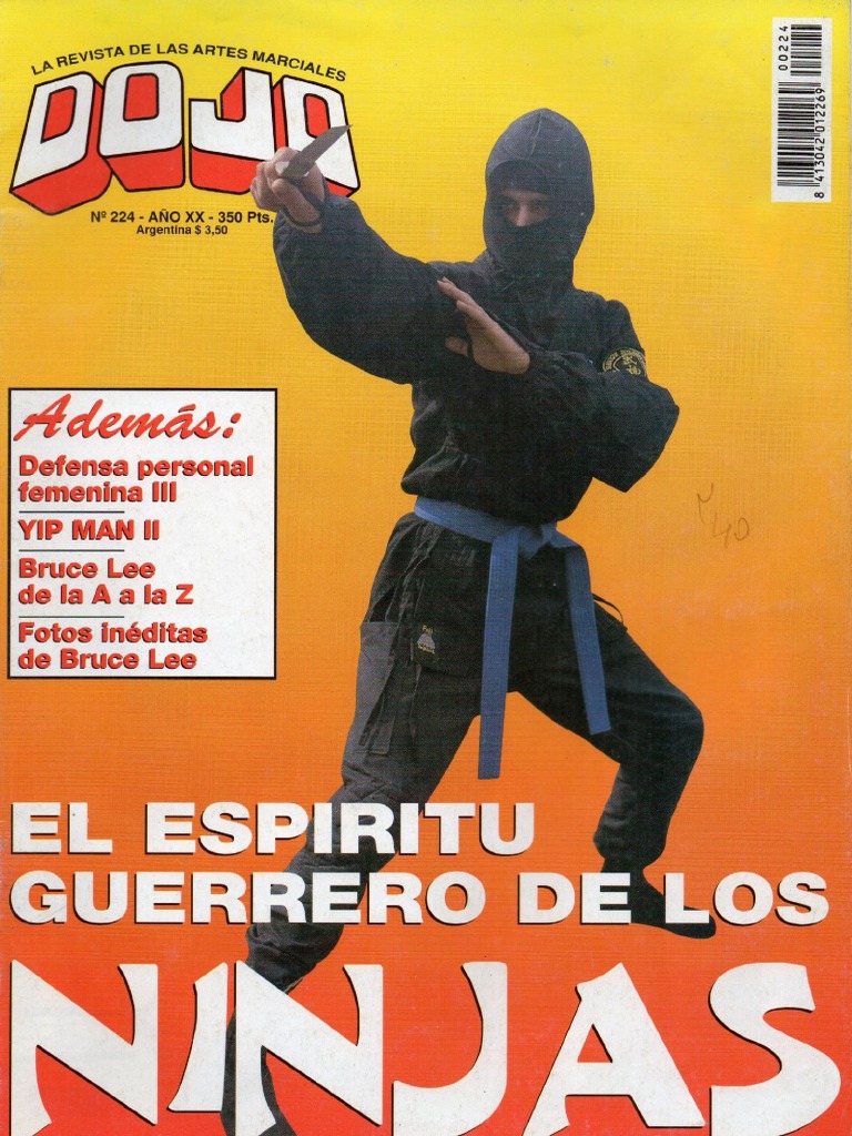 Revista Dojo 1 | PDF
