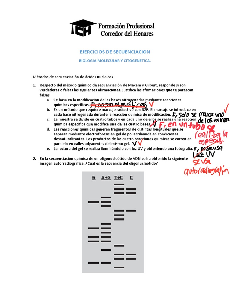 EJERCICIOS Tema 8 | PDF