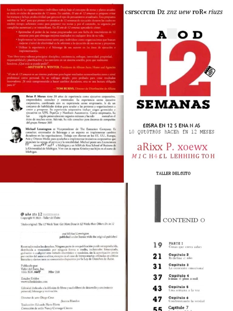 PDF El Ao de 12 Semanas Brian P Moran y M | PDF