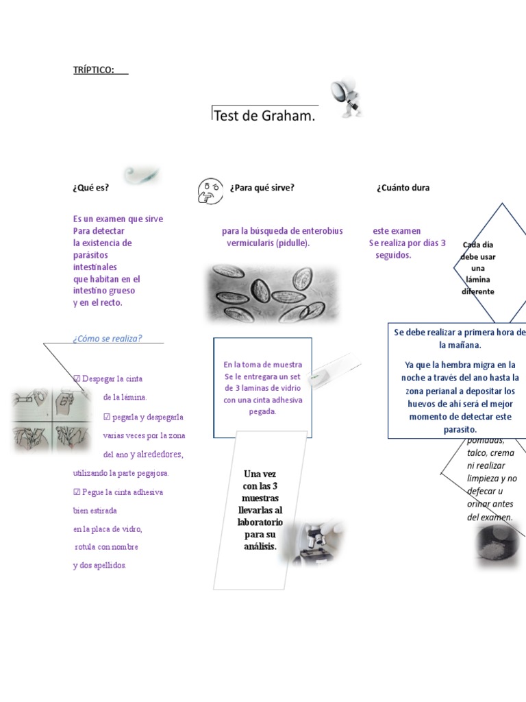 Test de Graham para oxiuros: Guía práctica | PDF | Gastroenterología ...