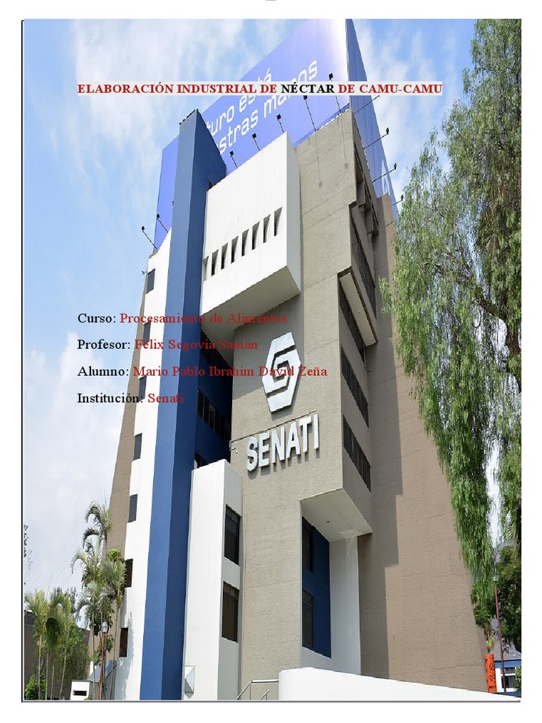 Trabajo Del Curso - TC Elaboracion de Nectar de Camu Camu Mario Pablo Ibrahim David Zeña | PDF ...