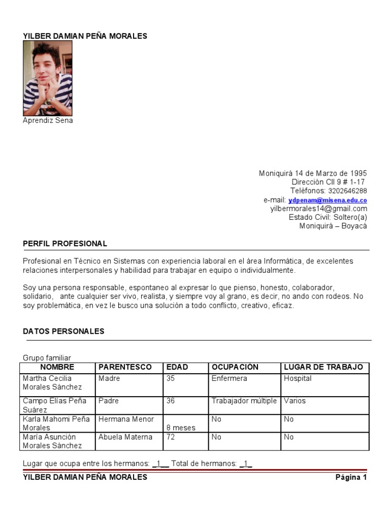 Hoja de Vida Chipo | PDF