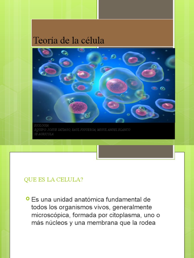 Teoría De La Célula Pdf Biología Celular Nucleo Celular