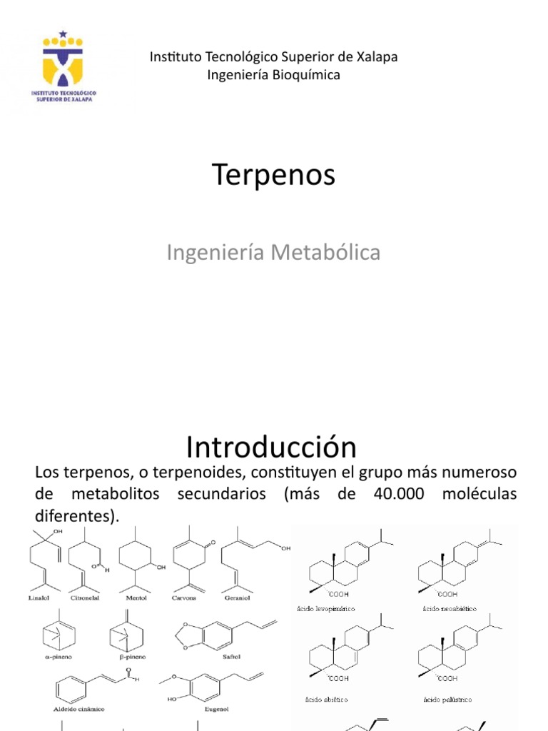 Estructura y Clasificación de Terpenos | PDF | Bioquímica | Química
