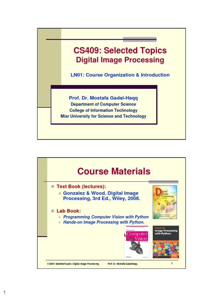 CS409 DIP LN01 CO Intro | PDF