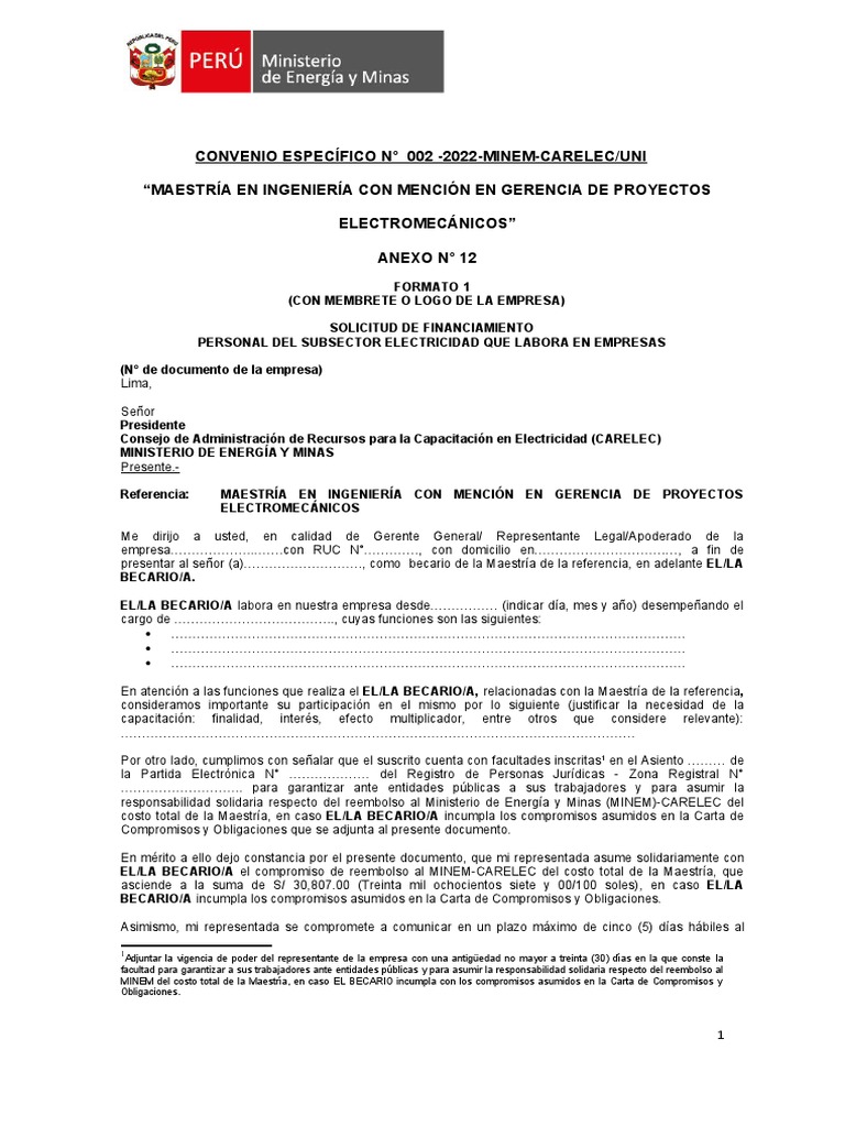 Formatos Maestría 01 | PDF