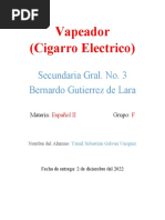Mapa Mental de Los Vapes | PDF