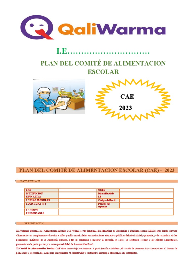 Plan de Cae-2023 | Descargar gratis PDF | Violación | Educación primaria