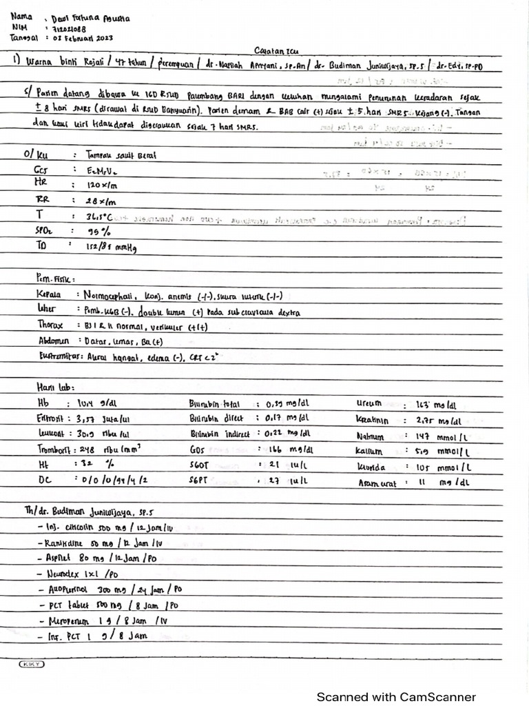 Format Laporan ICU | PDF
