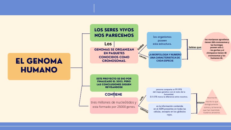 Mapa del Genoma Humano y Especies | PDF | Genoma | Cromosoma
