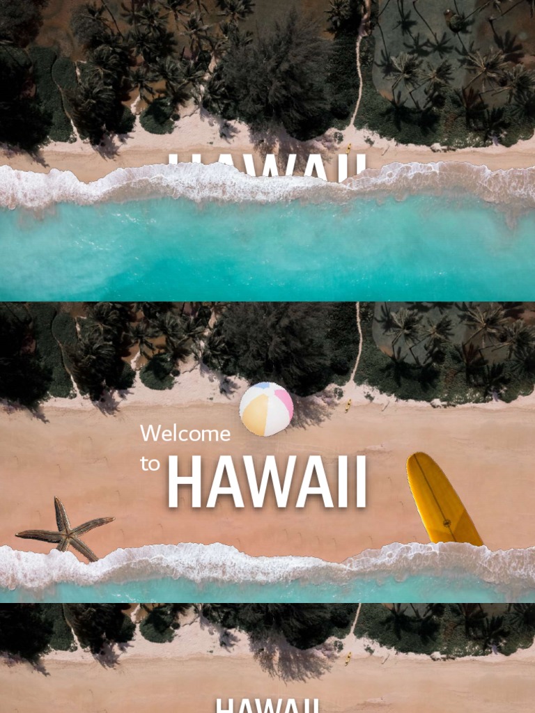 Hawaii Morph Animation Template Brown Variant | PDF