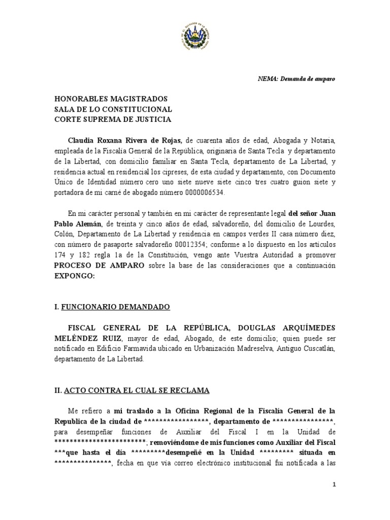MODELO DE AMPARO | PDF | Fiscal | Familia