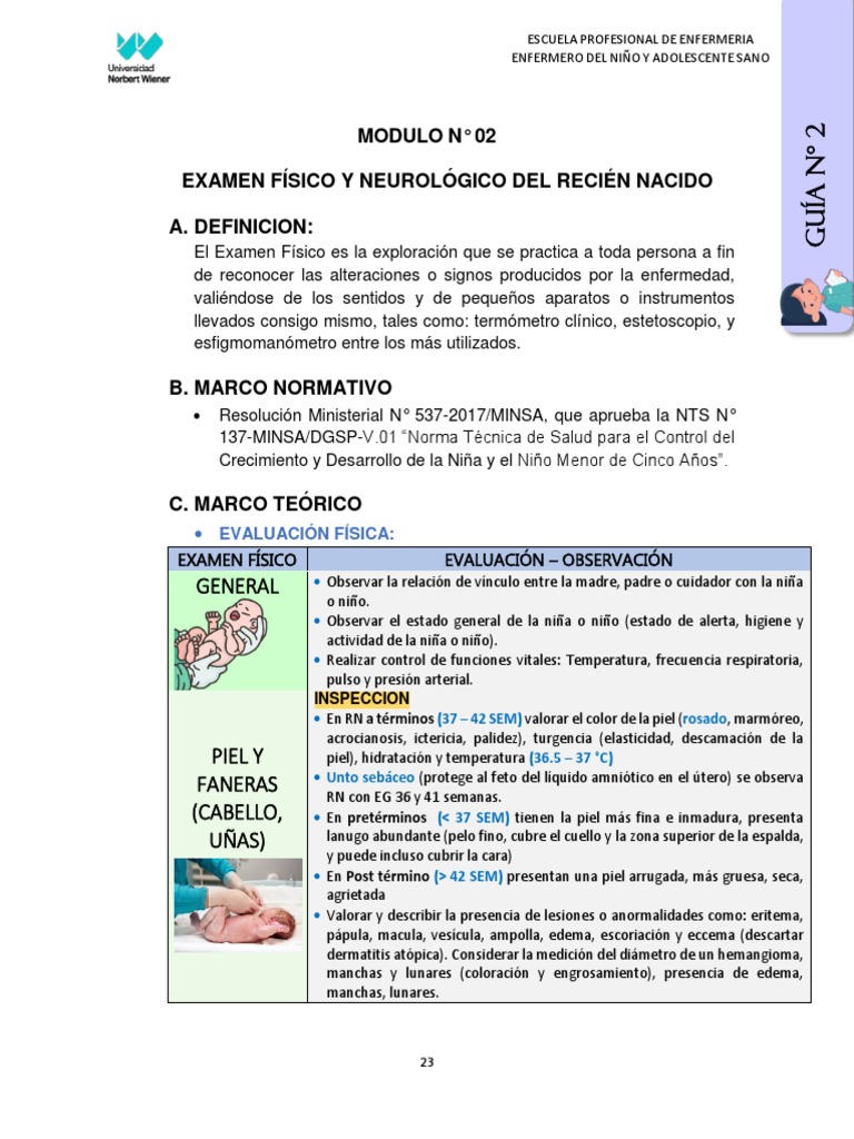 Guia 2 Examen Físico y Neurológico Del Recién Nacido | PDF | Enfermería | Examen físico