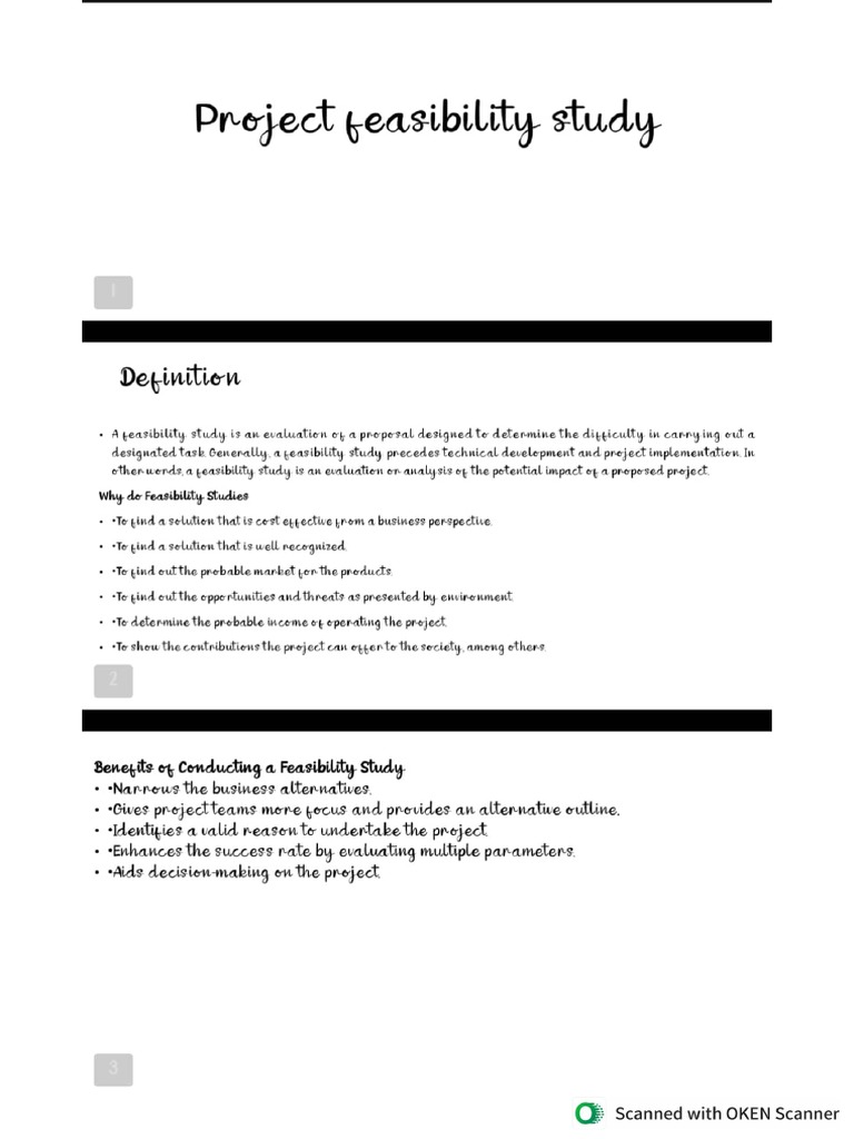 Project Feasibility Study | PDF