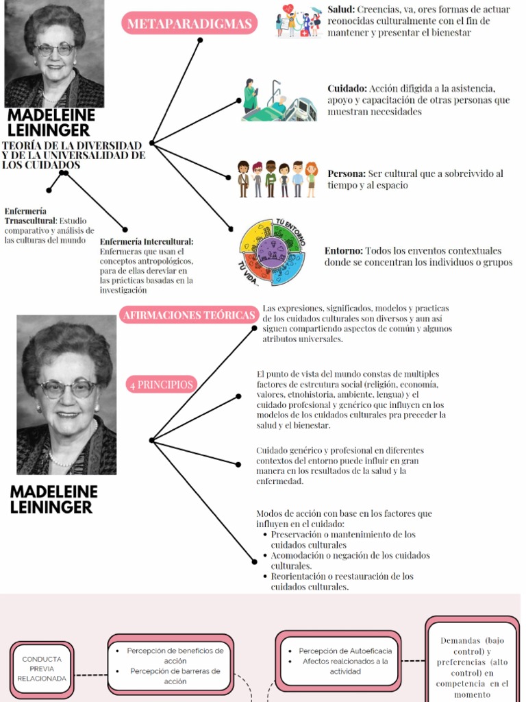 Modelo de Madeleine Leininger | PDF