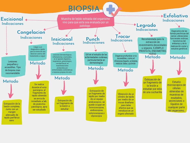 Mapa conceptual, Tipos de biopsias | PDF | Biopsia | Medicina CLINICA