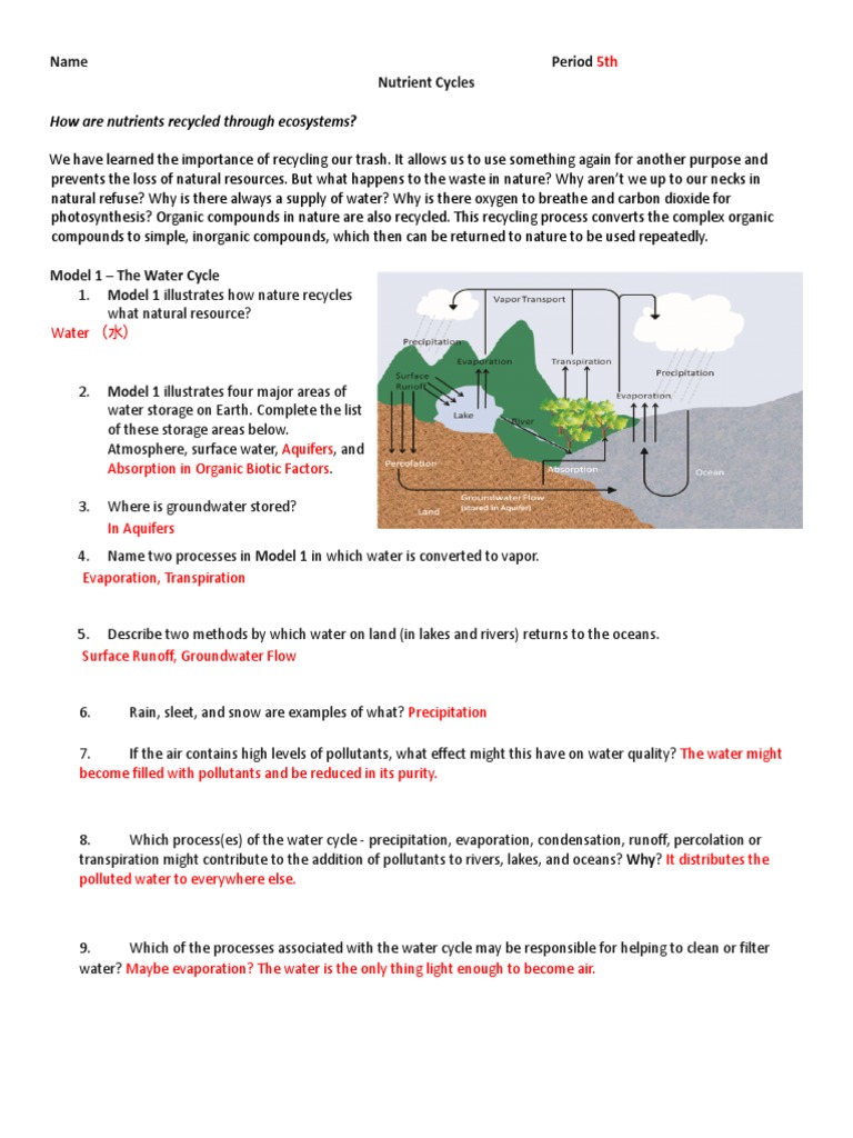 Nutrient Cycles and Energy Pyramids Activity | PDF | Carbon Cycle | Water