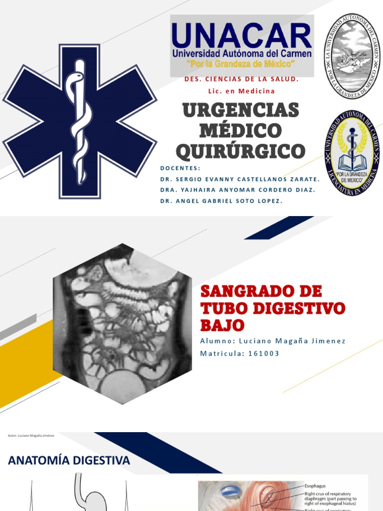 HTDB | PDF | Cáncer colonrectal | Endoscopia