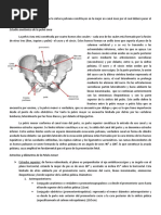 Fisiología y Anatomía Quirúrgicadela Arteria Mamaria Interna | PDF ...