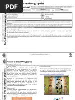 Prospecto NIFURYL | PDF | Infección del tracto urinario ...