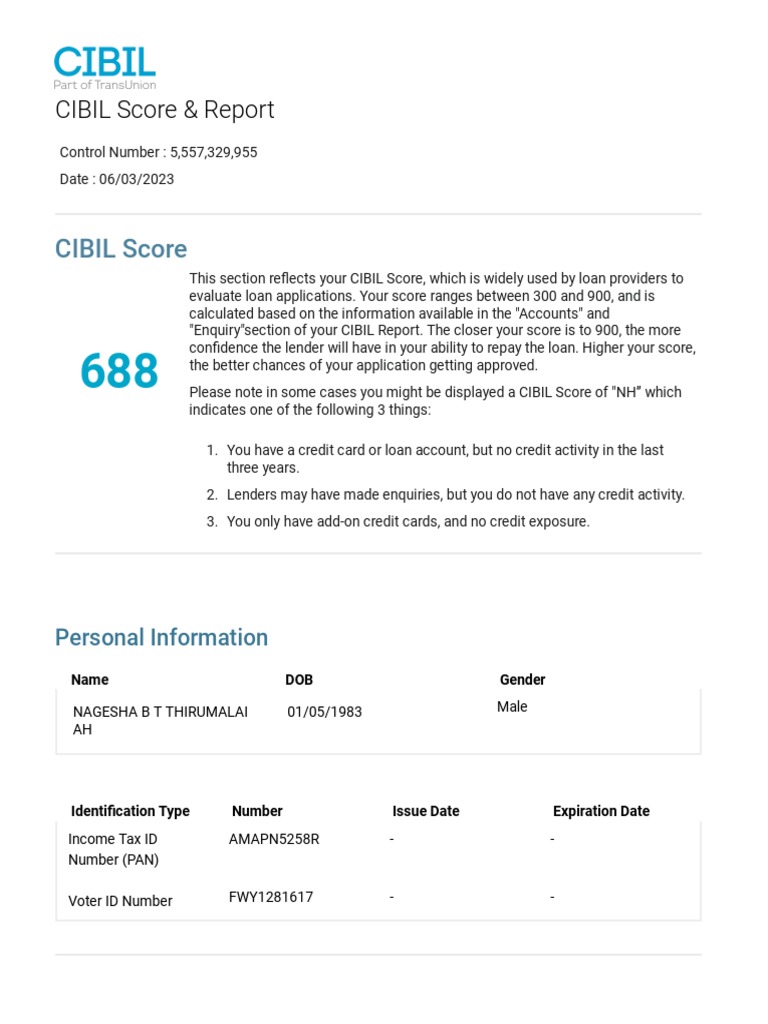 CIBIL Score & Report | PDF