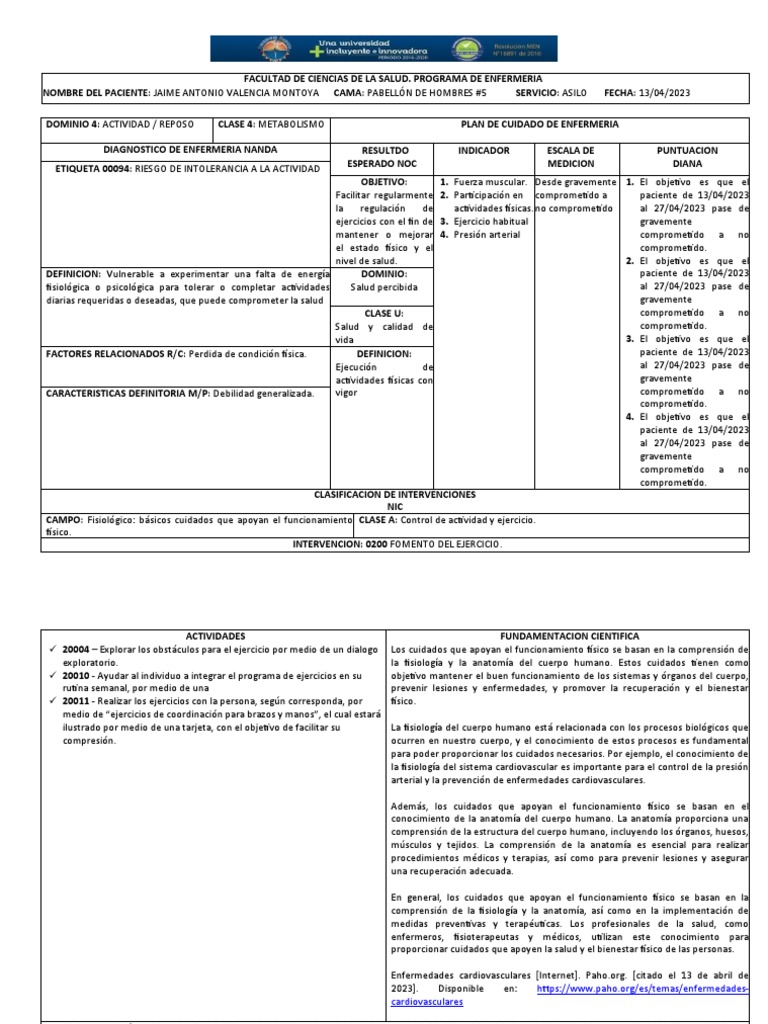 Formato Pae Pdf Terapia Física Medicina Clinica