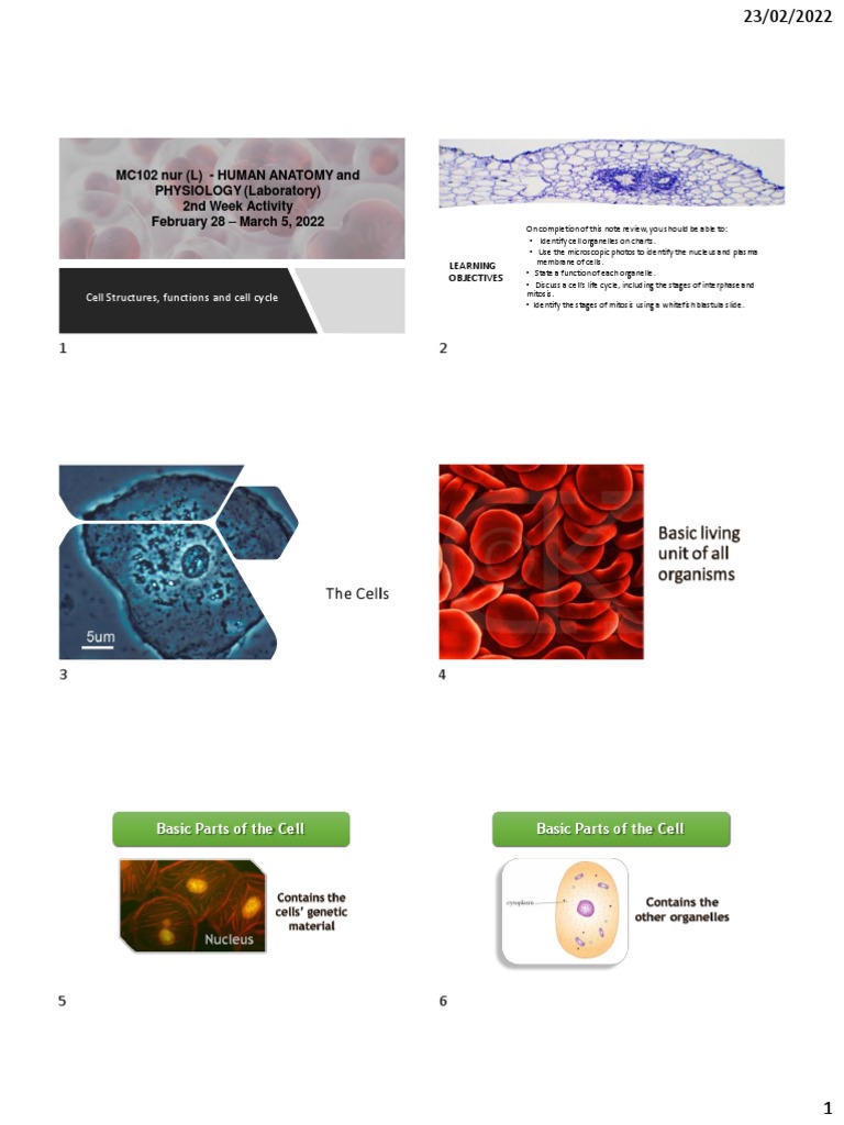 WEEK 3 Laboratory Activity 1 (STUDENT'S COPY) | PDF | Cell (Biology ...