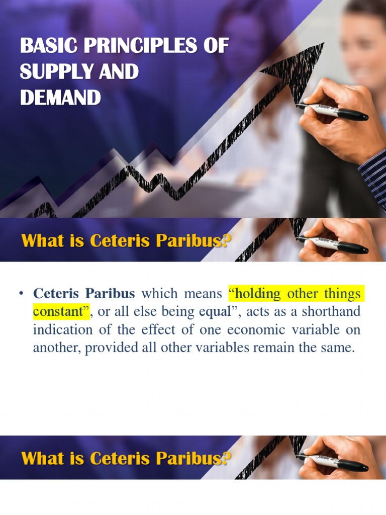 Basic Principles of Supply and Demand | PDF | Supply (Economics) | Demand