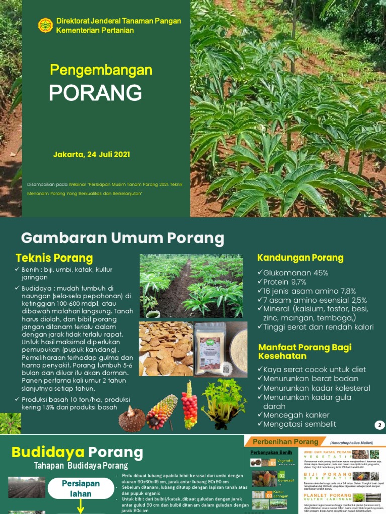 Panduan Budidaya dan Ekspor Porang | PDF