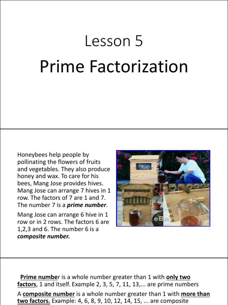 Lesson 5 Prime Factorization G5 | PDF | Honey Bee | Hobbies