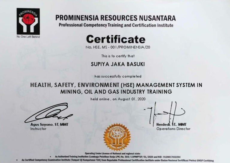HSE Management System | PDF