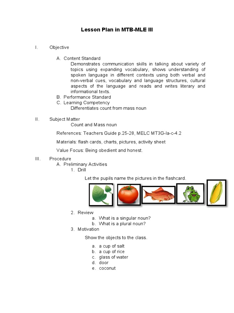 Lesson Plan in MTB III | PDF | Grammatical Number | Linguistics