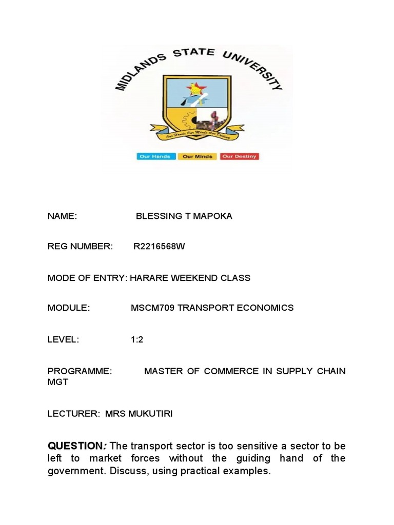 Transport Assignment 2023 | PDF | Transport | Sustainability