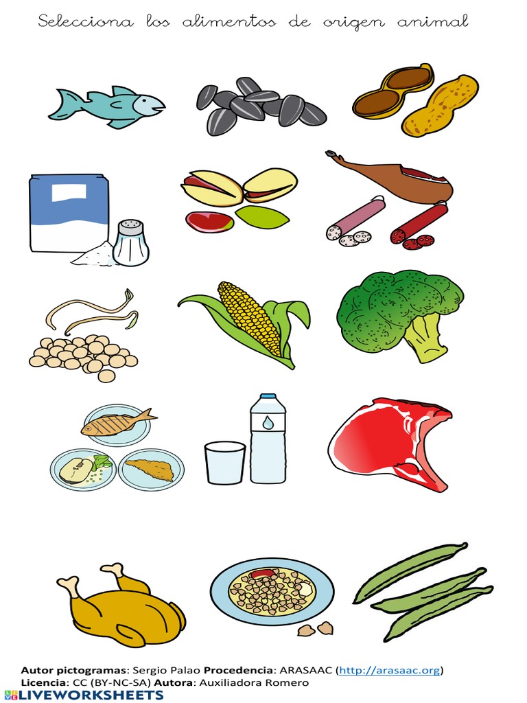 Alimentos Segun Su Origen | PDF