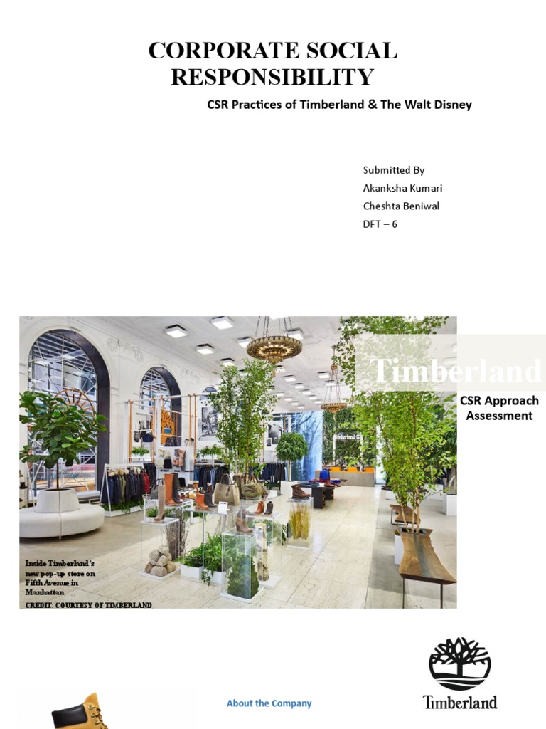 CSR Assignment | PDF | Corporate Social Responsibility | The Walt Disney Company