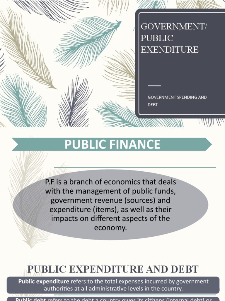 Government Expenditure (Economics) | PDF | Public Finance | Expense