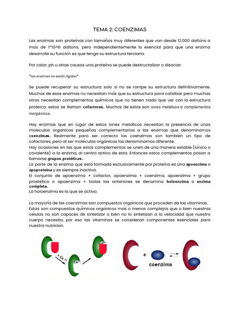 Tema 2 | PDF | Cofactor (Bioquímica) | Enzima