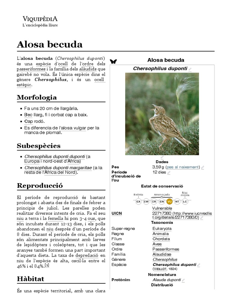 Alosa Becuda | PDF