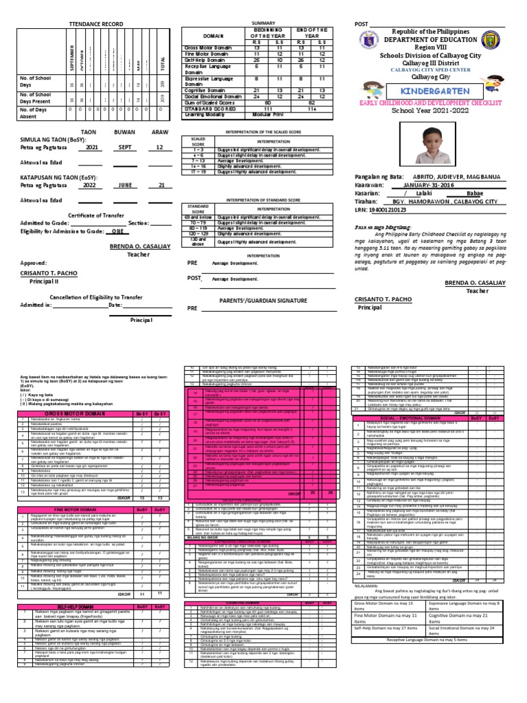 ECCD-PROGRESS-REPORT-2022 Final (AutoRecovered) | PDF | Cognitive ...