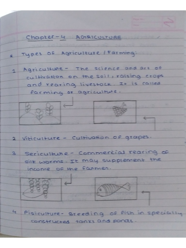 Chapter 4 Agriculture Class 9 | PDF