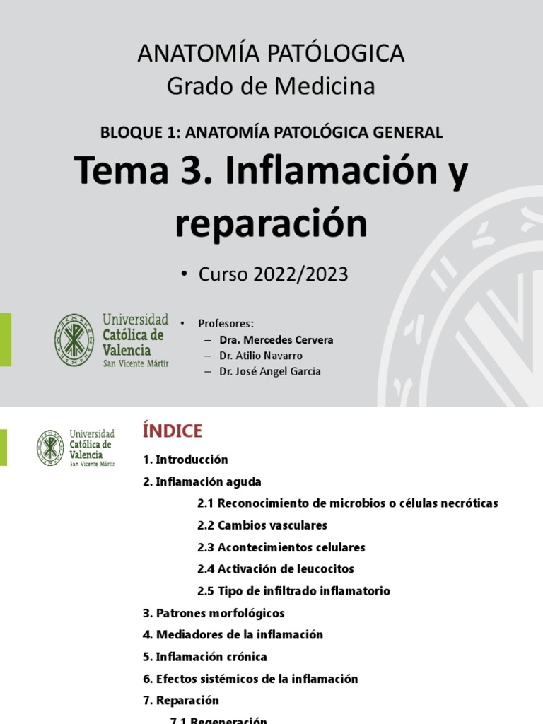 Tema 3. Inflamación y Reparación | PDF | Inflamación | Cicatrización de la herida