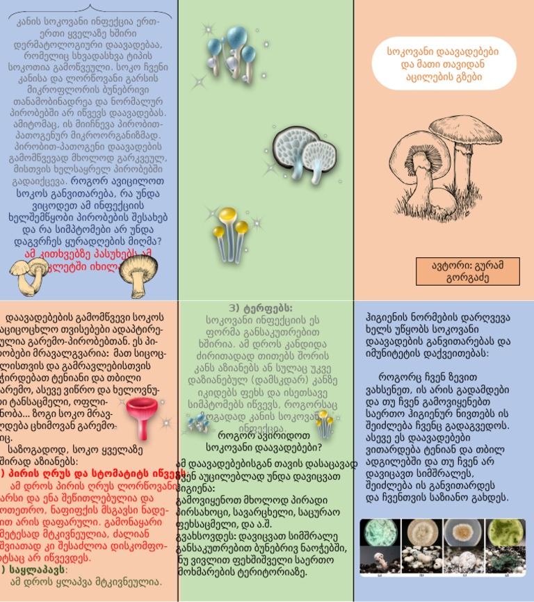 Mushrooms | PDF