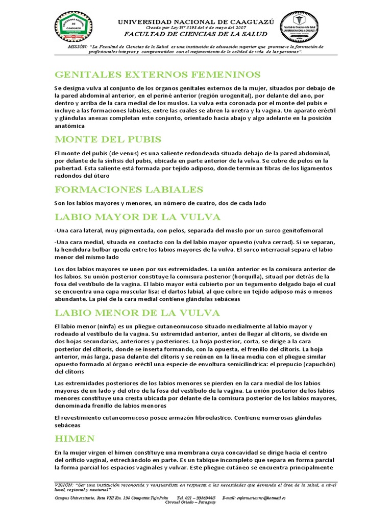Anatomía de los Genitales Externos Femeninos | PDF | Clítoris | Vagina