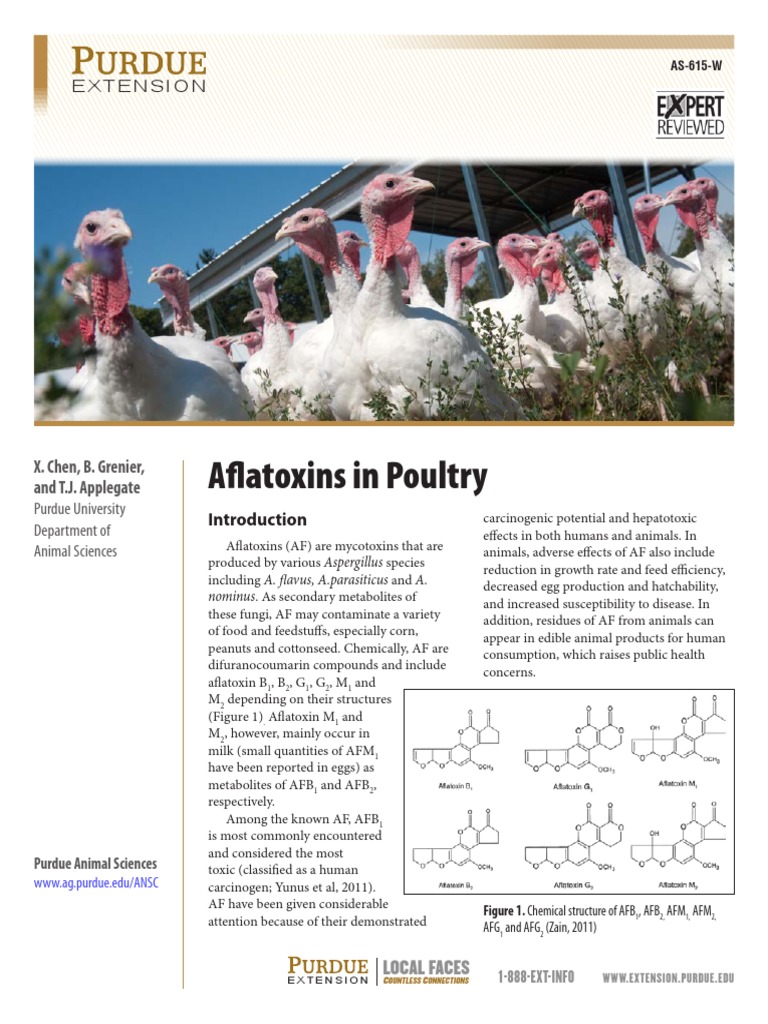 Aflatoxins in Poultry | PDF | Mycotoxin | Medical Specialties